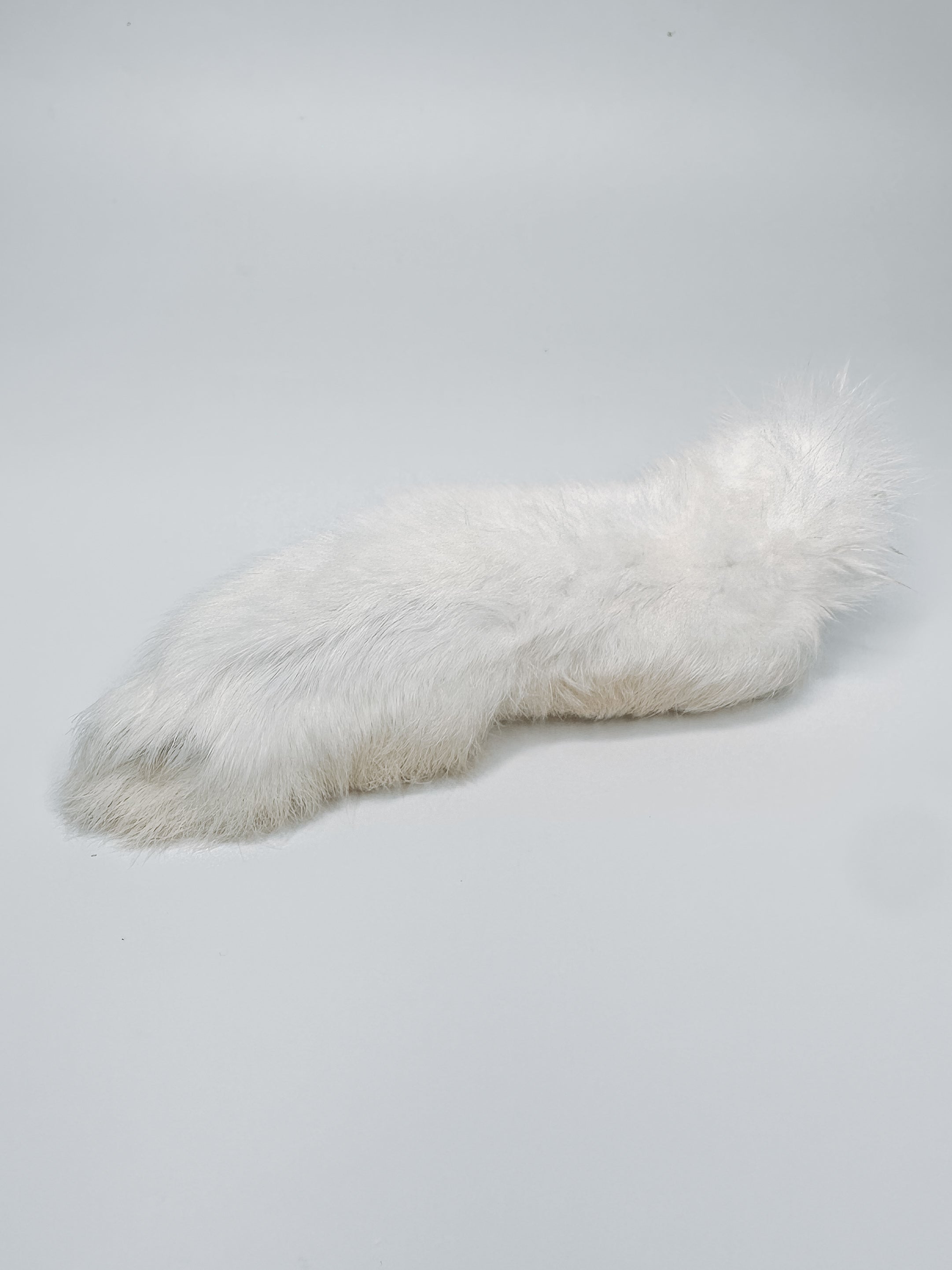 Rabbit Hind Foot | Woofalicious